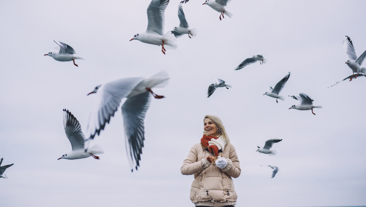 Bird-watching Hotspots in Europe - Low Cost Vibes Blog